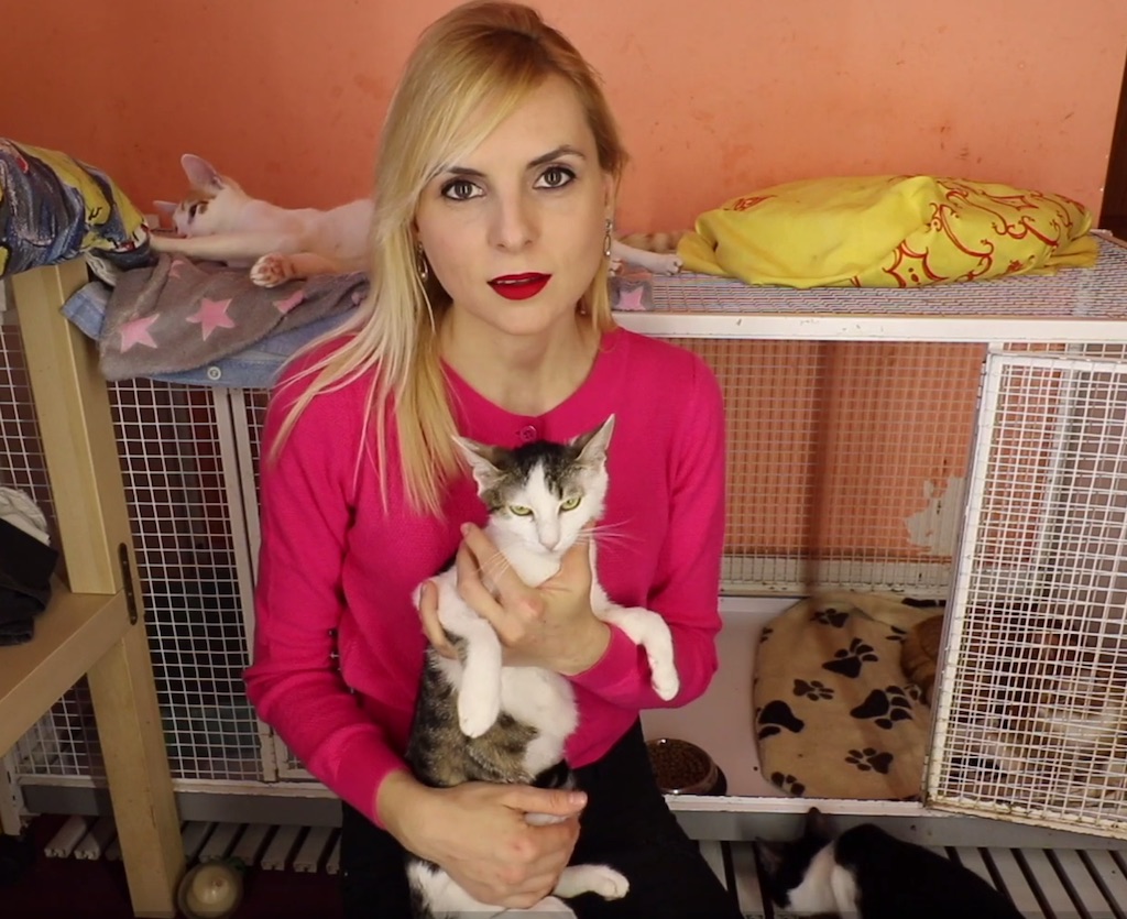 FIV Positive Kitten Gets A Second Chance - Lory's Cats